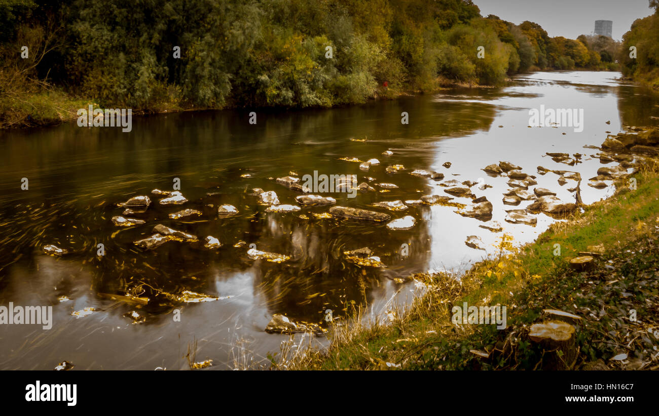 river Taff , cardiff Stock Photo - Alamy