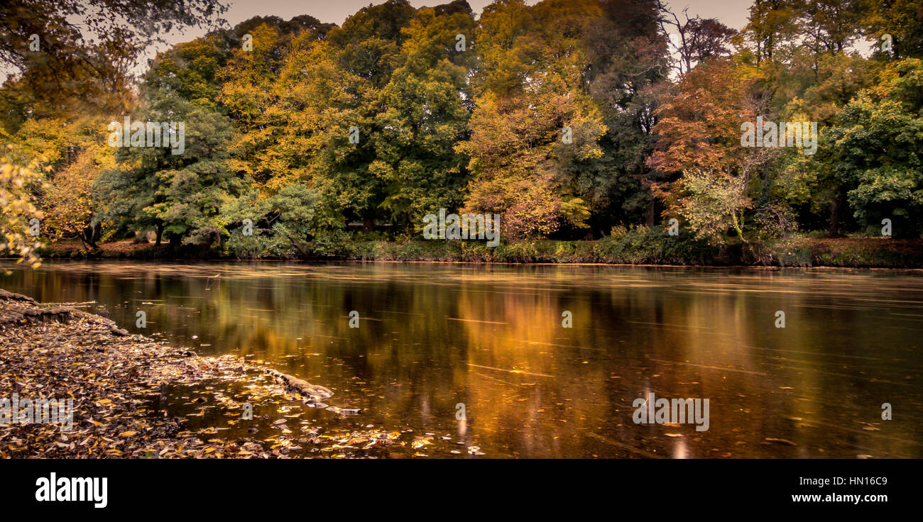 river Taff , cardiff Stock Photo - Alamy