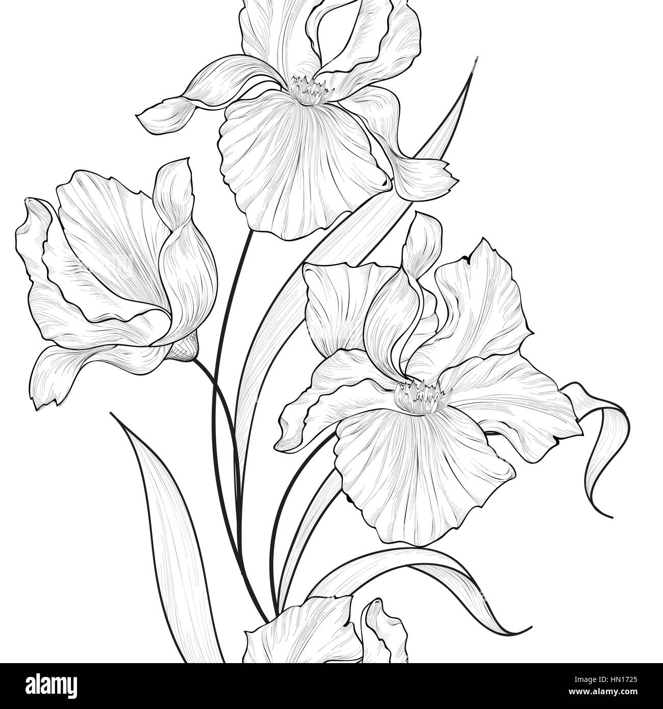 Floral seamless vertical decorative border. Flower iris etching ...