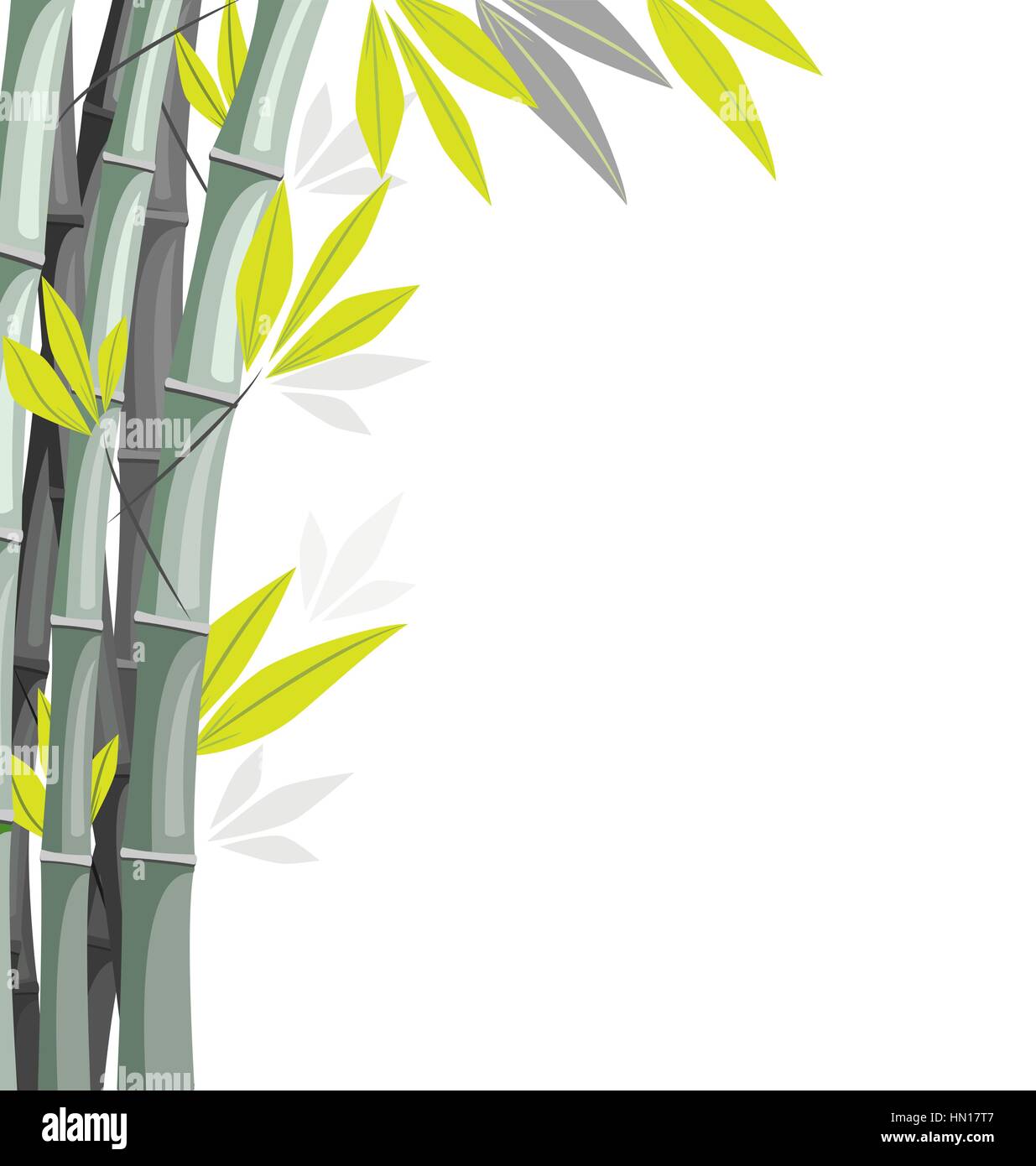 Beautiful bamboo tree on Stock Vector Images - Alamy