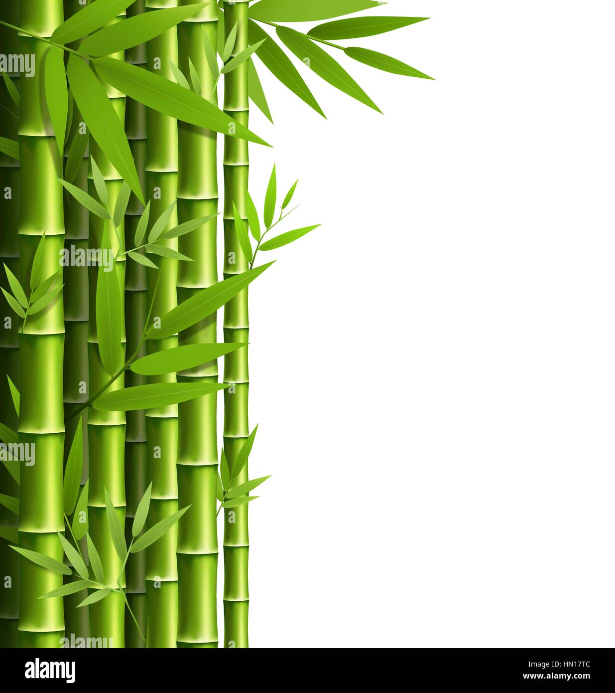 Grove green Stock Vector Images - Alamy