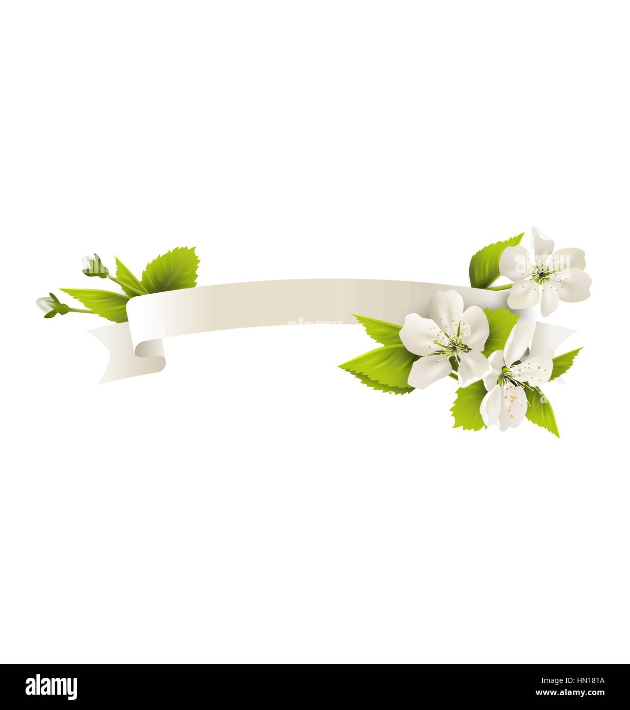 Celebration ribbon flag with cherry flowers isolated on white Stock ...