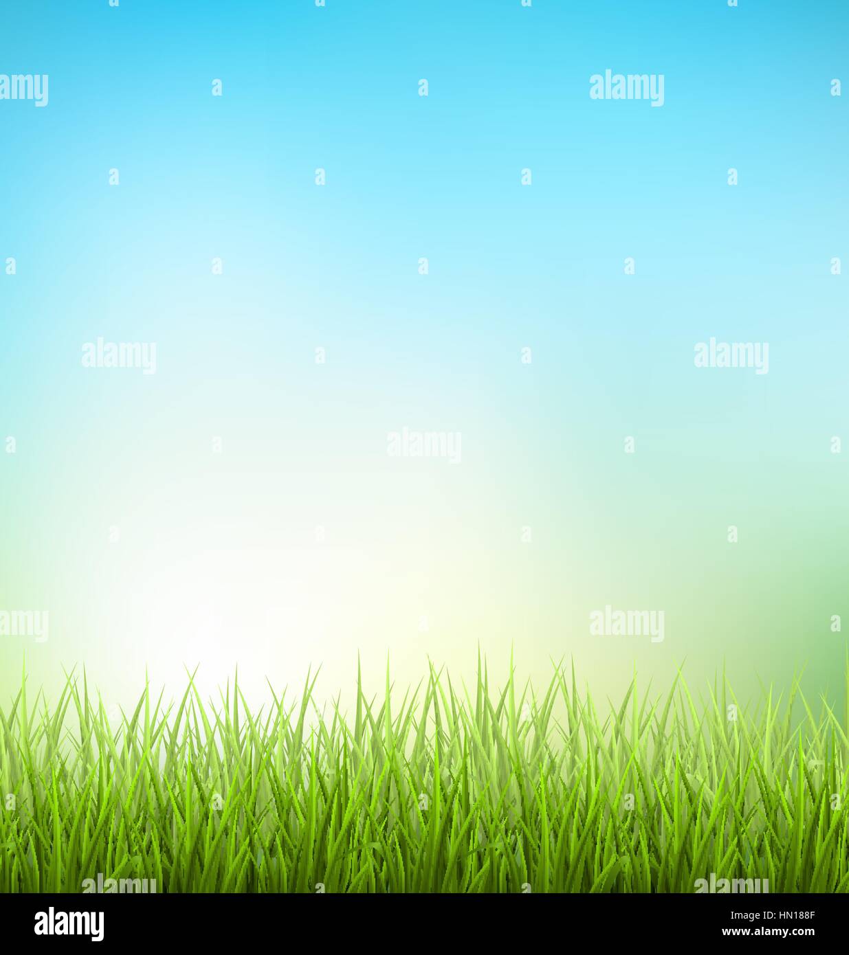 Green grass lawn with sunrise on sky. Floral nature spring backg Stock ...