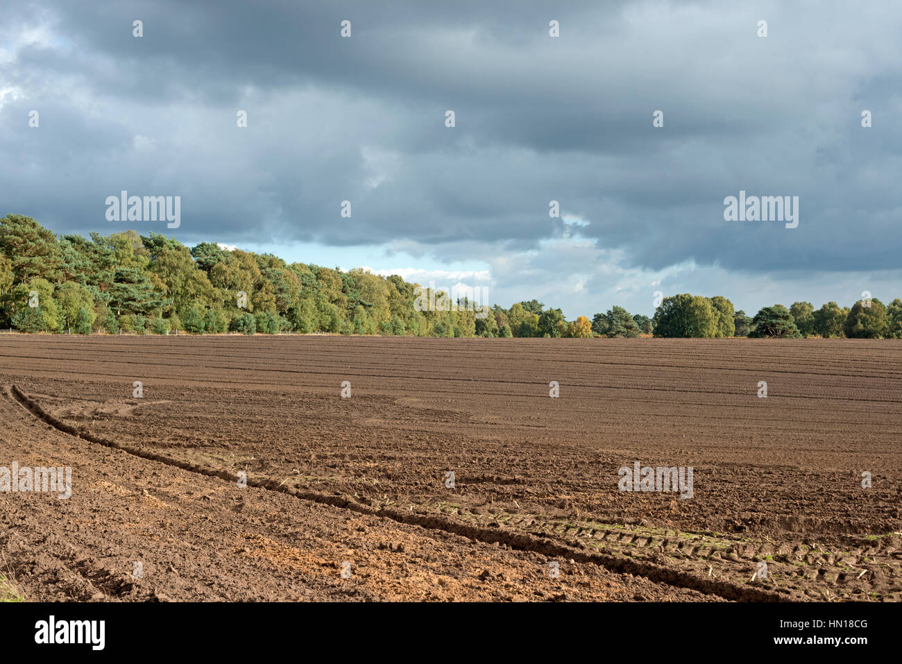 Fallow field, Sutton, Suffolk, UK Stock Photo - Alamy