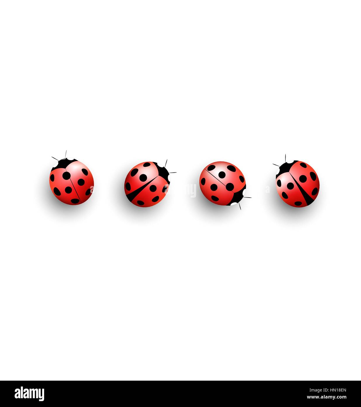 Four lady bugs with shadows on white Stock Vector Image & Art - Alamy