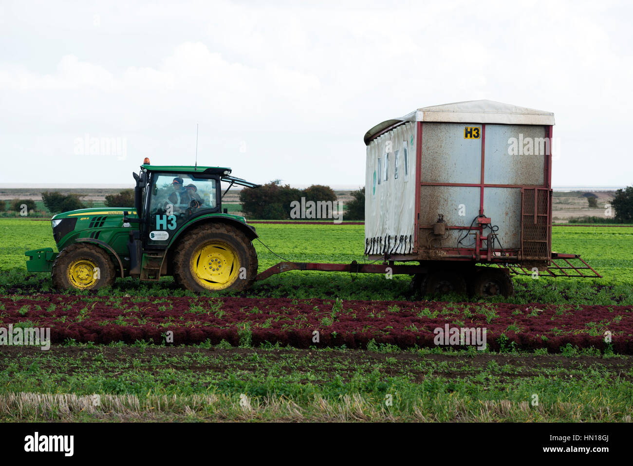 Packing station hi-res stock photography and images - Alamy
