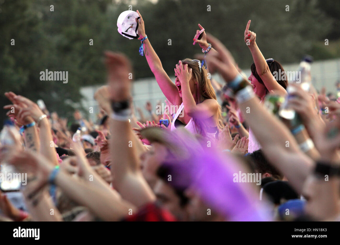 Music Festival Crowd Stock Photo - Alamy