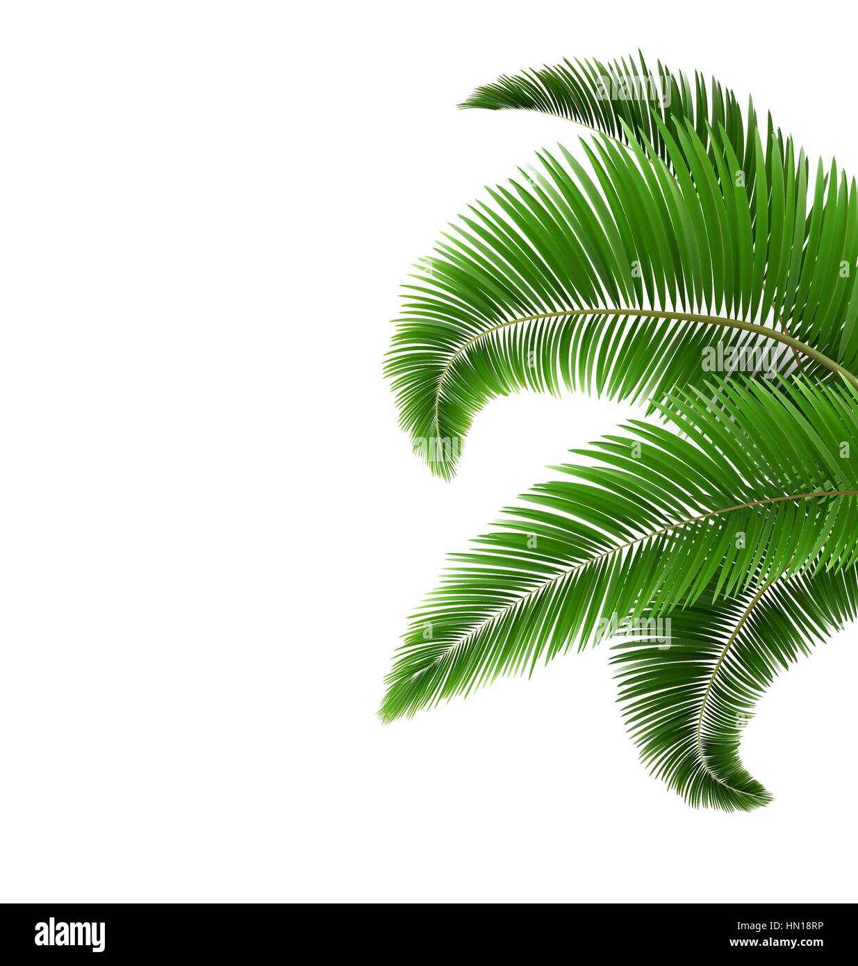 Tree on shore green Stock Vector Images - Alamy