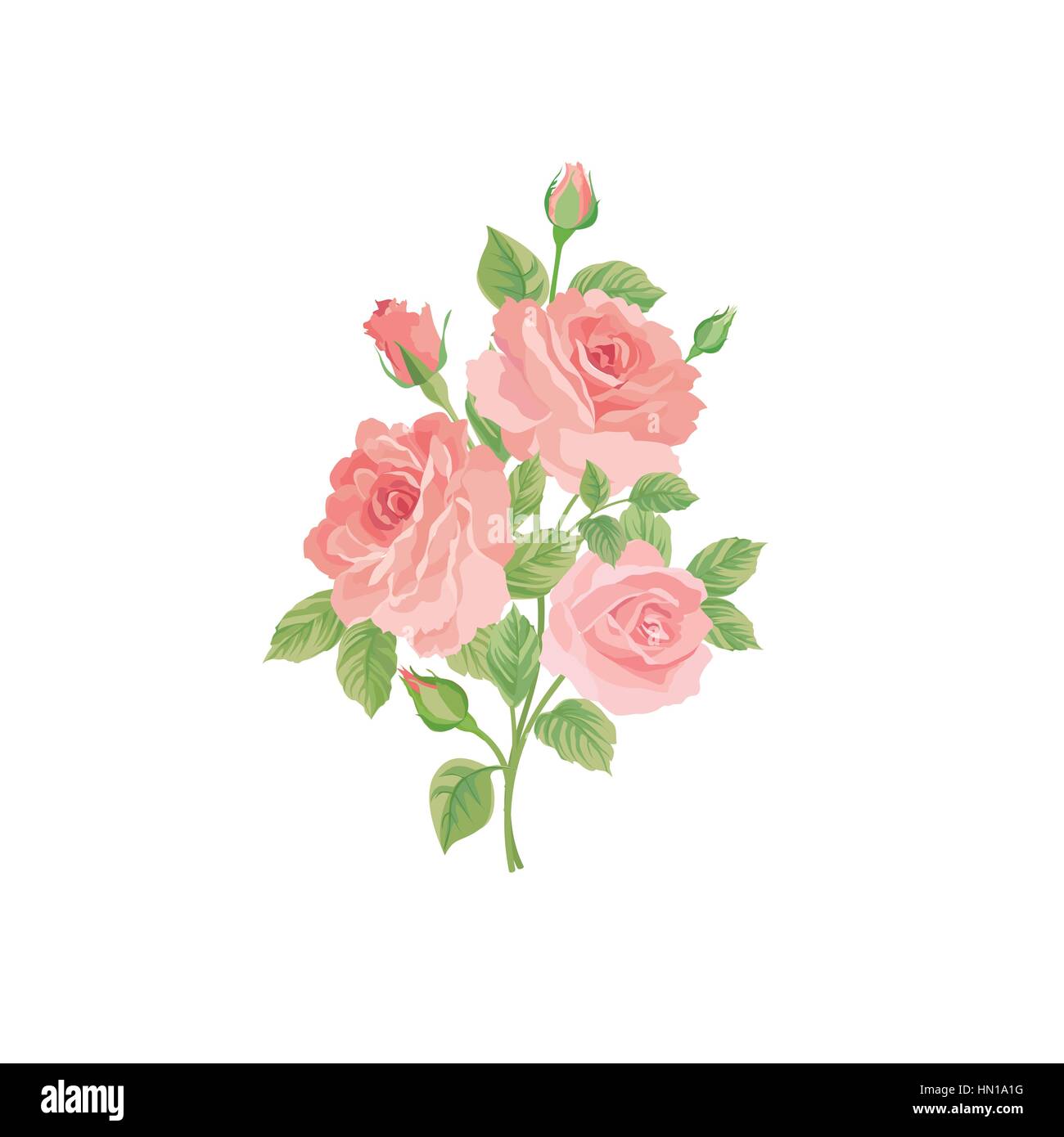 Floral bouquet isolated over white background. Flower rose posy ...