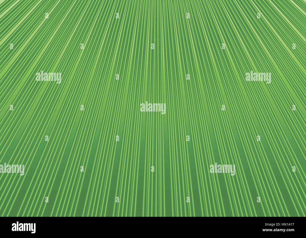 Abstract geometric background with diagonal green lines Floral ...