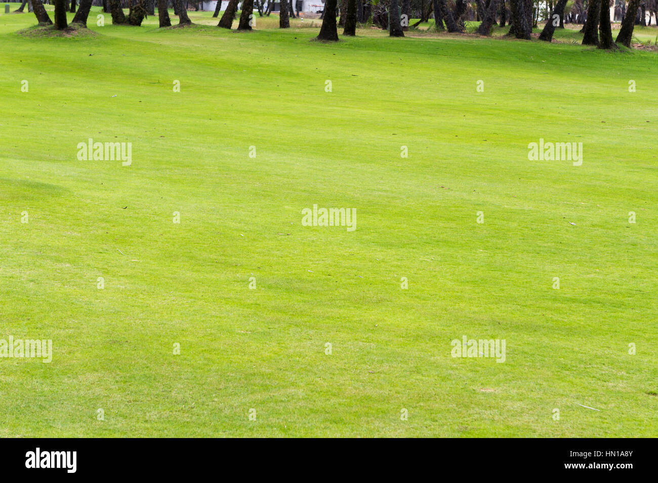 Golf course, Angola Stock Photo - Alamy