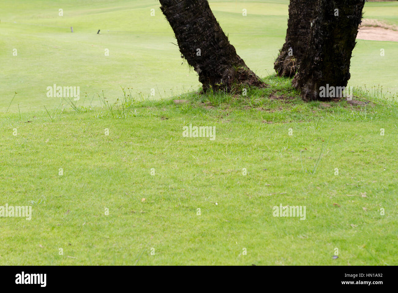 Golf course, Angola Stock Photo - Alamy