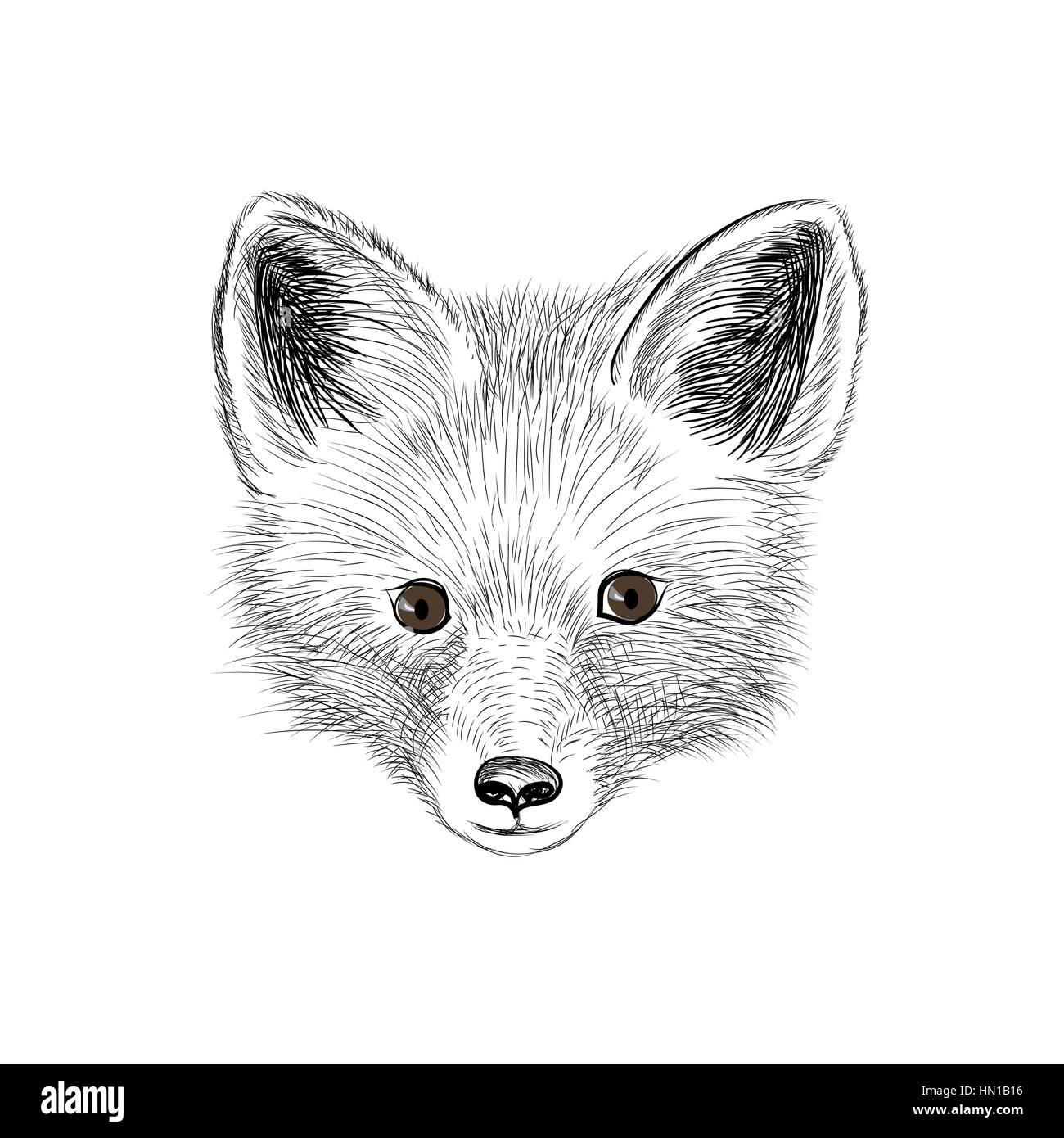 Beautiful baby fox Stock Vector Images - Alamy