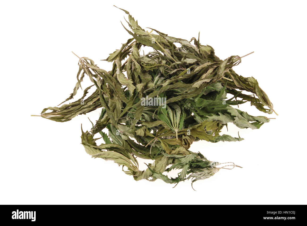 Dried hemp (cannabis) isolated on white background Stock Photo - Alamy