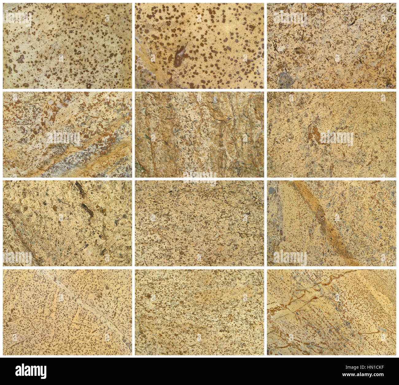 Twelve Natural Limestone Background or textures. The real color ...