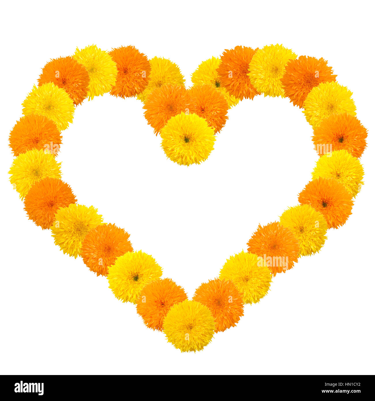 Decorative sunflower heart frame isolated on white background Stock ...