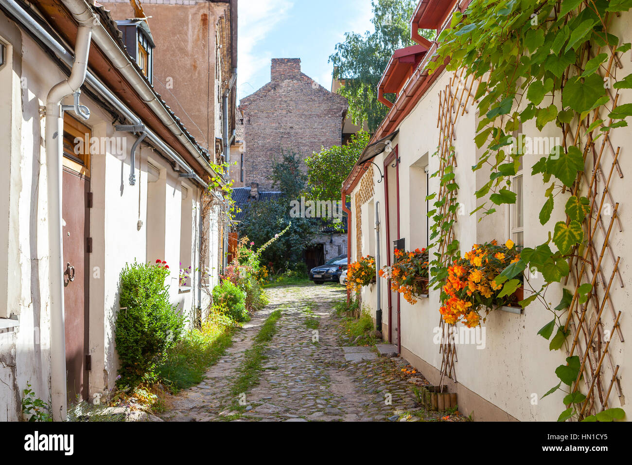 Narrow street with greenery on the walls in Vilnius, Lithuania Stock ...
