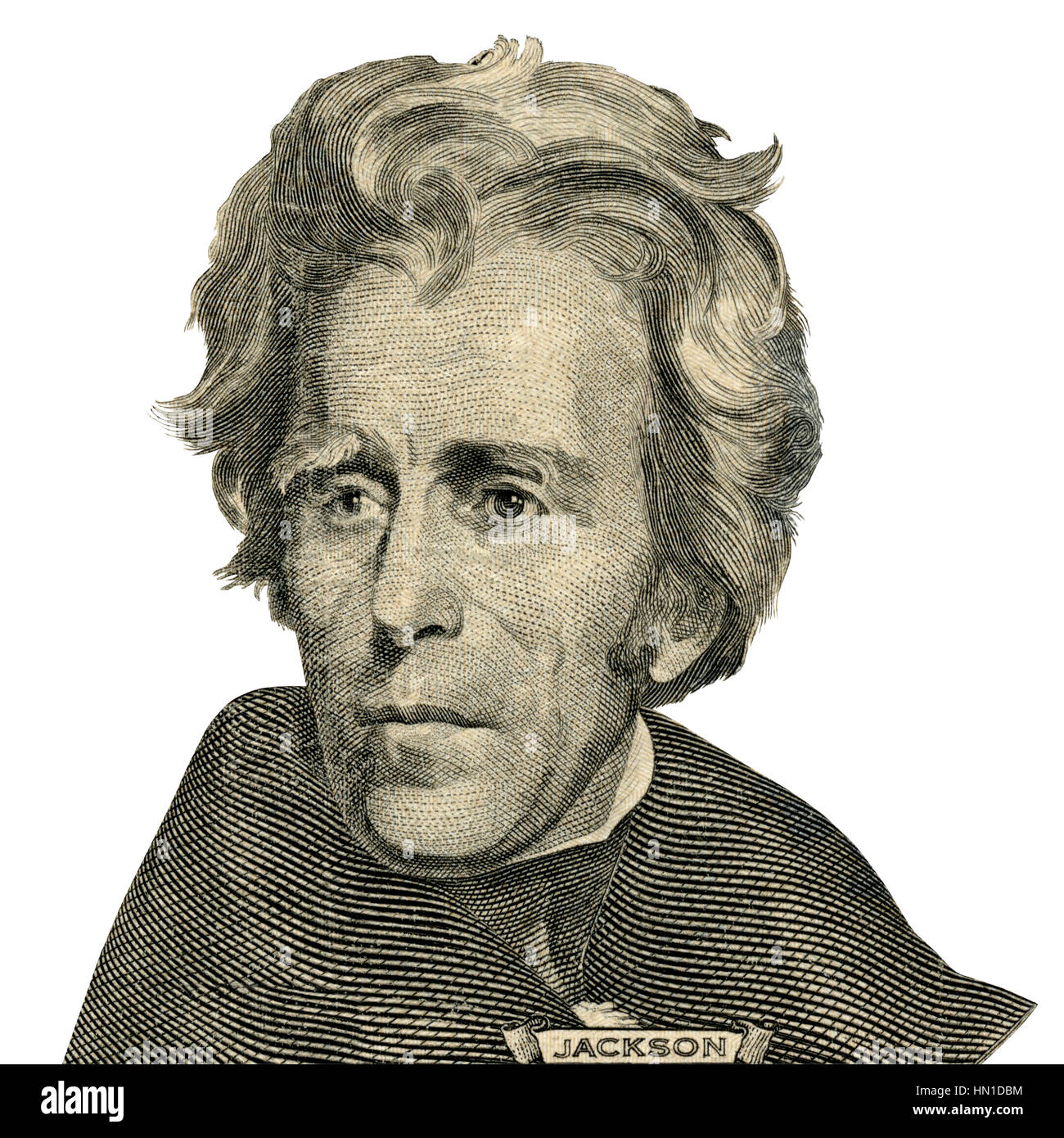 Portrait of former U.S. president Andrew Jackson as he looks on twenty ...