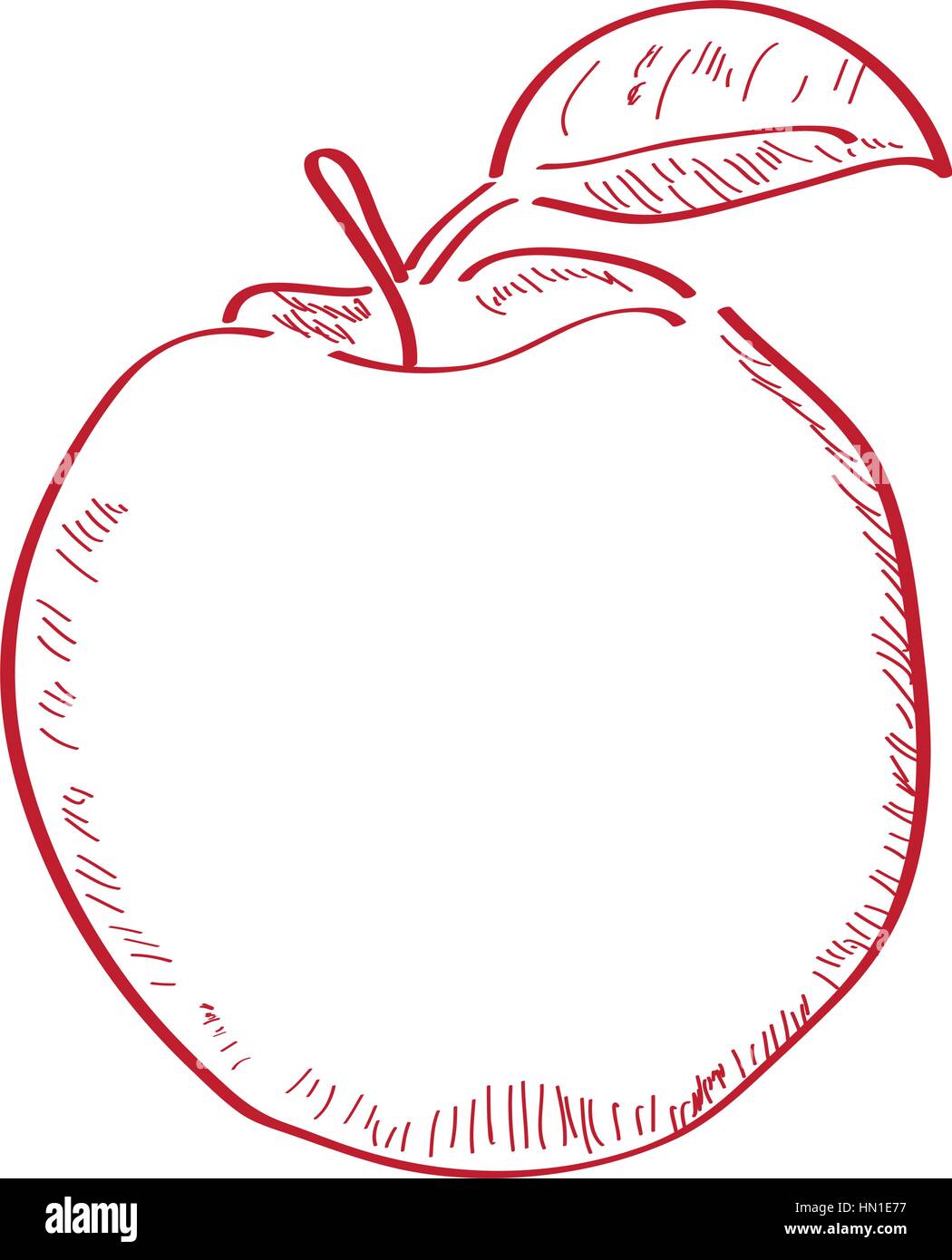 Isolated apple outline Stock Vector Image & Art - Alamy