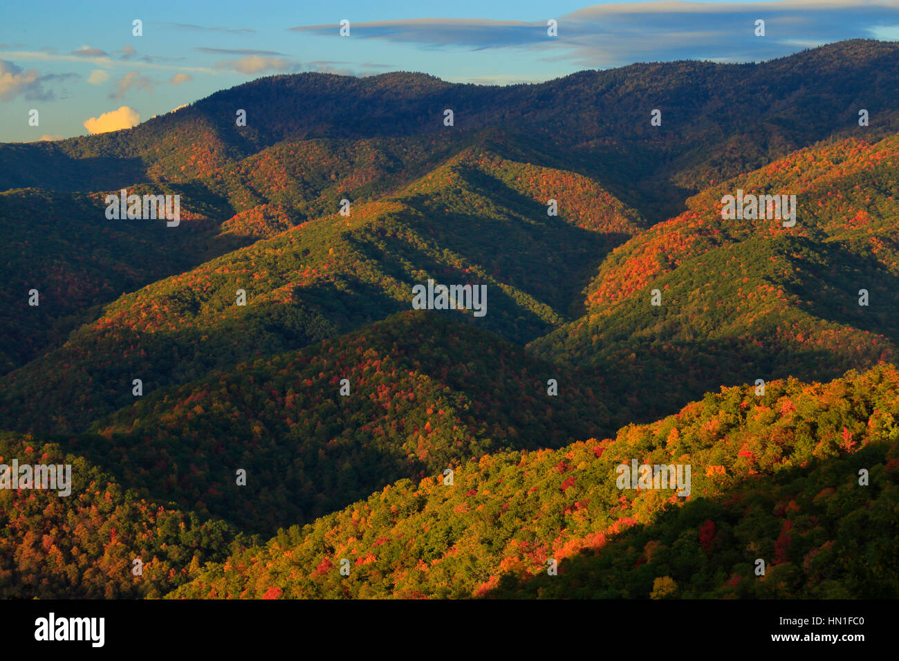 Fall foliage along Blue Ridge Parkway near Witch Gap, North Carolina ...
