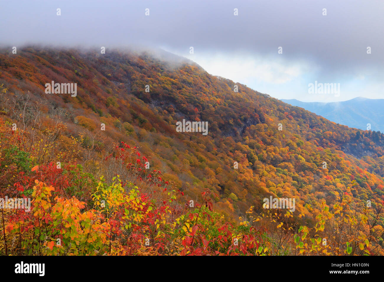 Craggy gardens hi-res stock photography and images - Alamy