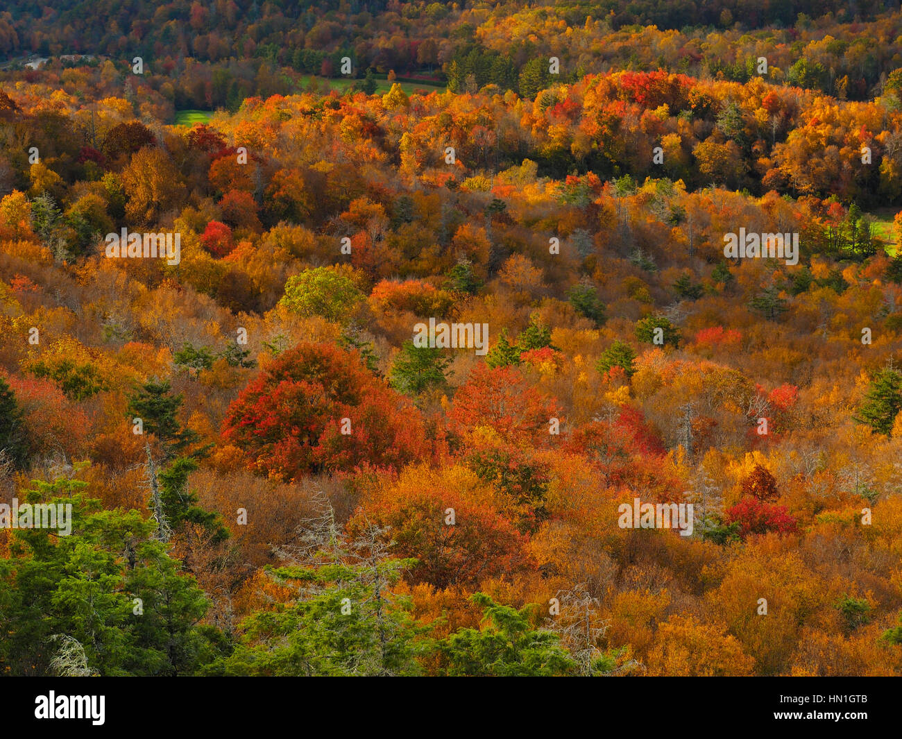 Flat rock north carolina hi-res stock photography and images - Alamy