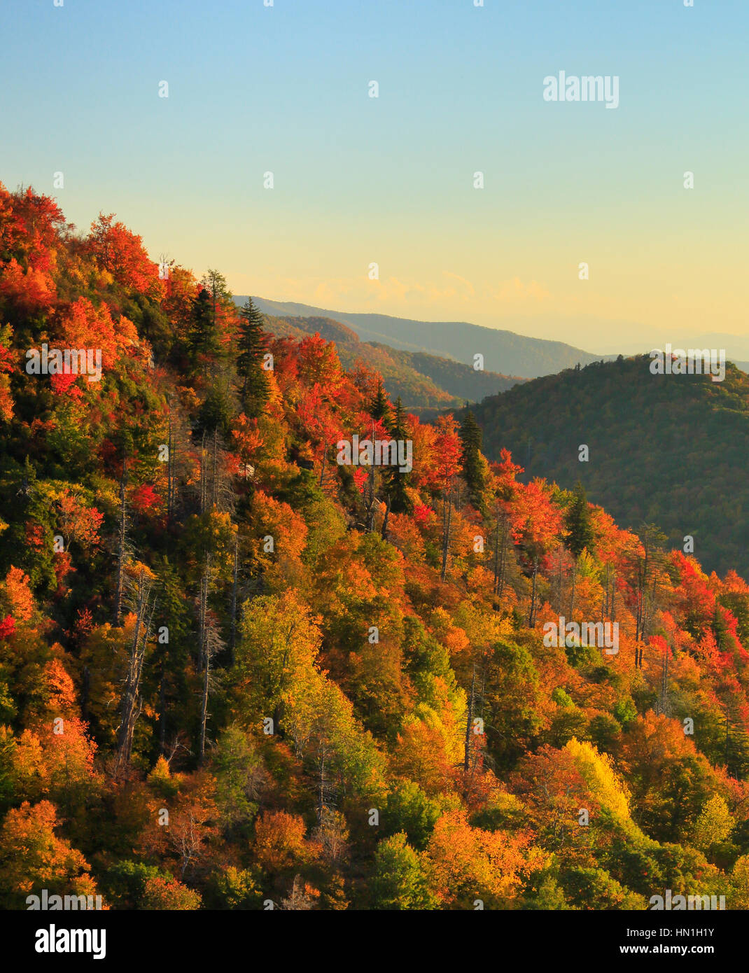 Fork ridge hi-res stock photography and images - Alamy