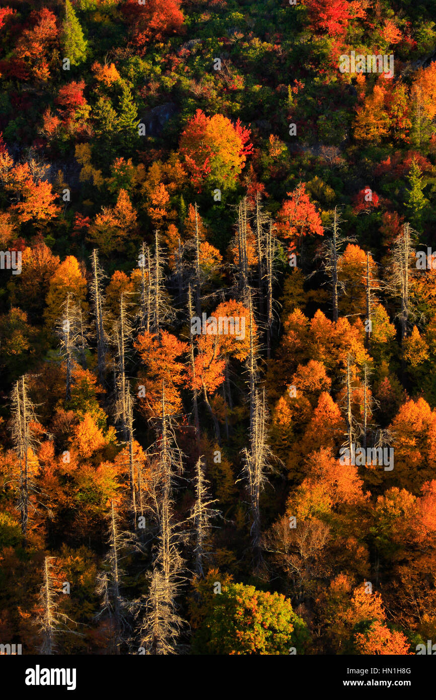 Fork ridge hi-res stock photography and images - Alamy