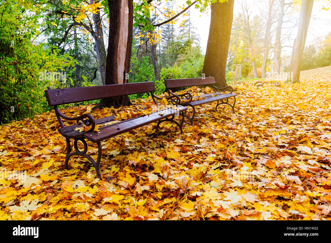 City park background hi-res stock photography and images - Alamy
