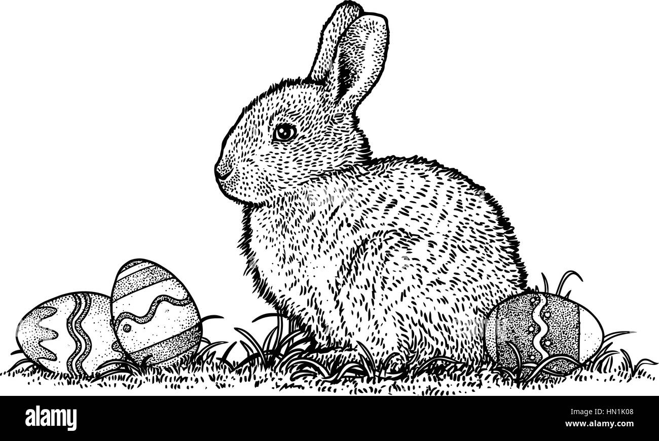 Rabbit with easter eggs illustration, drawing, engraving, line art ...