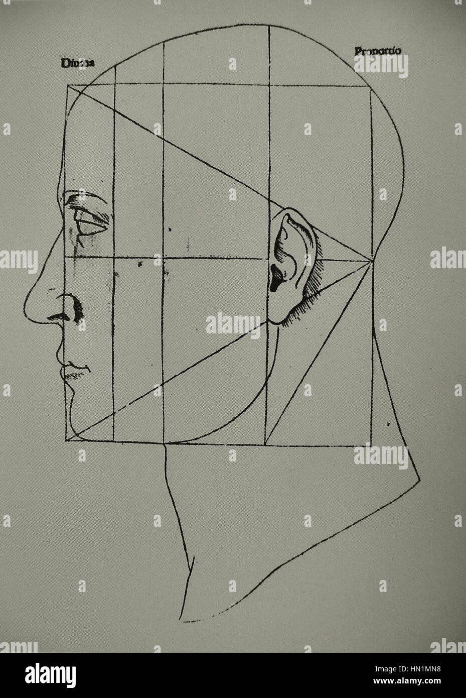 Luca pacioli hi-res stock photography and images - Alamy