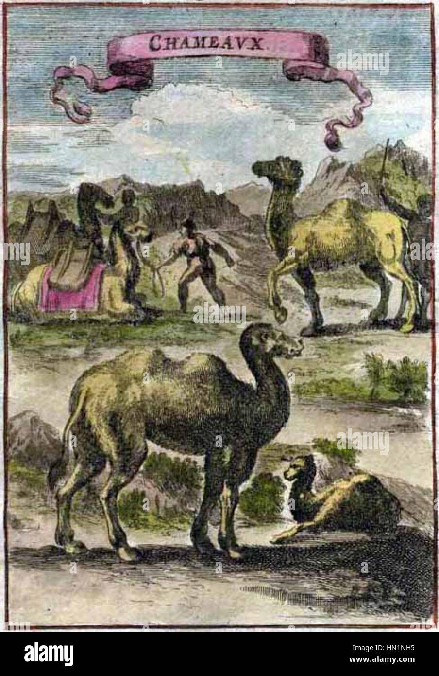 Mallet1719a hi-res stock photography and images - Alamy