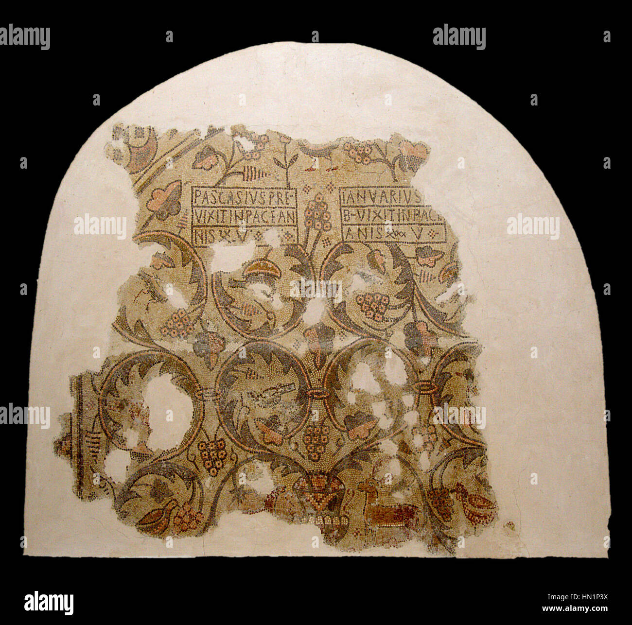 Musee Lamta, Mosaique 2 Stock Photo - Alamy