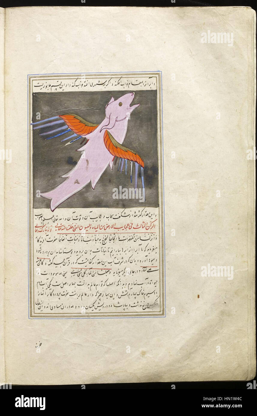 Muhammad ibn Mahmud Tusi - A Large, Winged Fish - Walters W59338B Stock ...