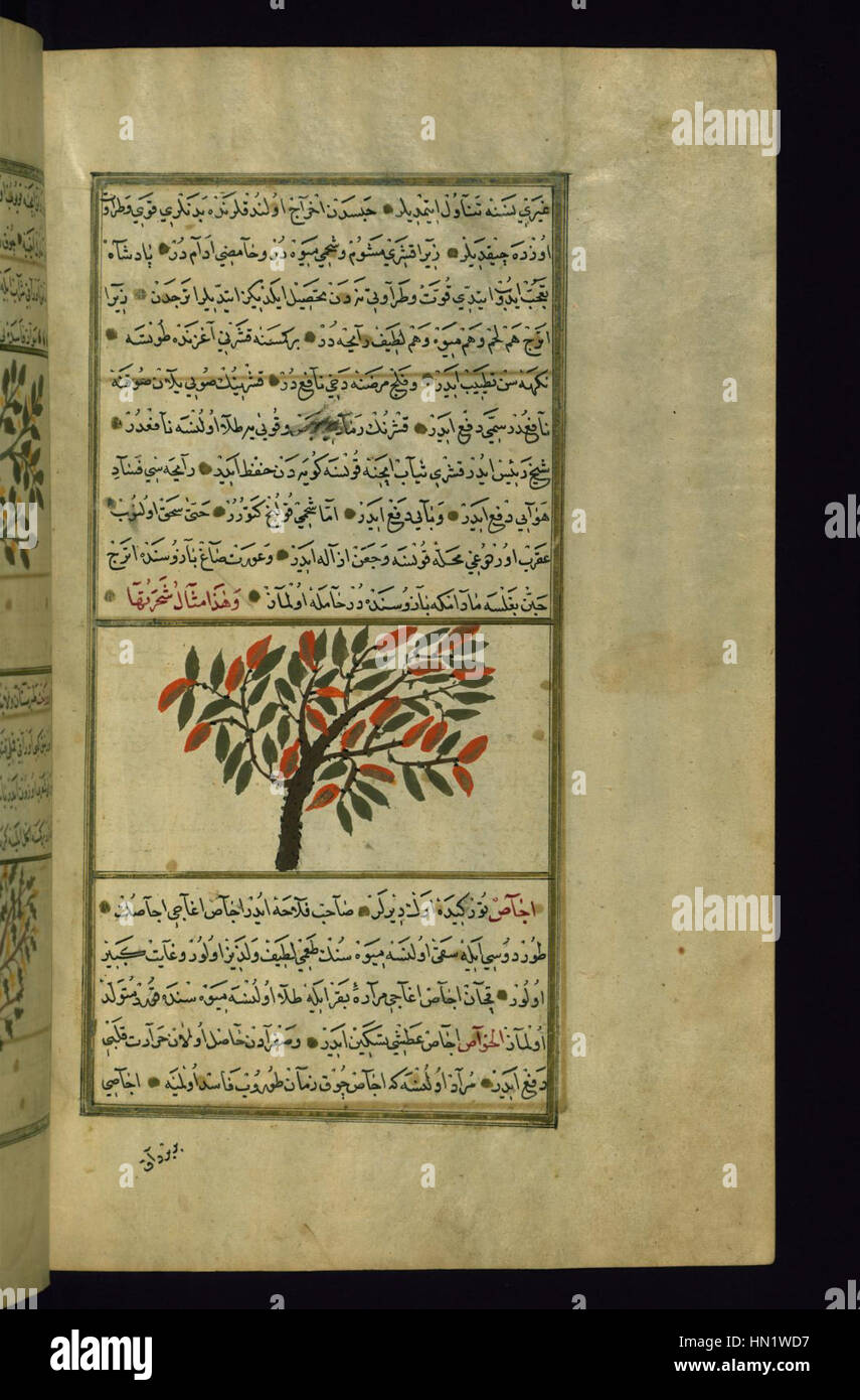 *A Citron Tree* by Muhammad ibn Muhammad Shakir Ruzmah-'i Nathani is a ...