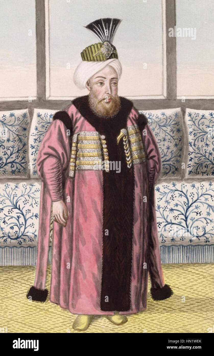 Mustafa II by John Young Stock Photo - Alamy