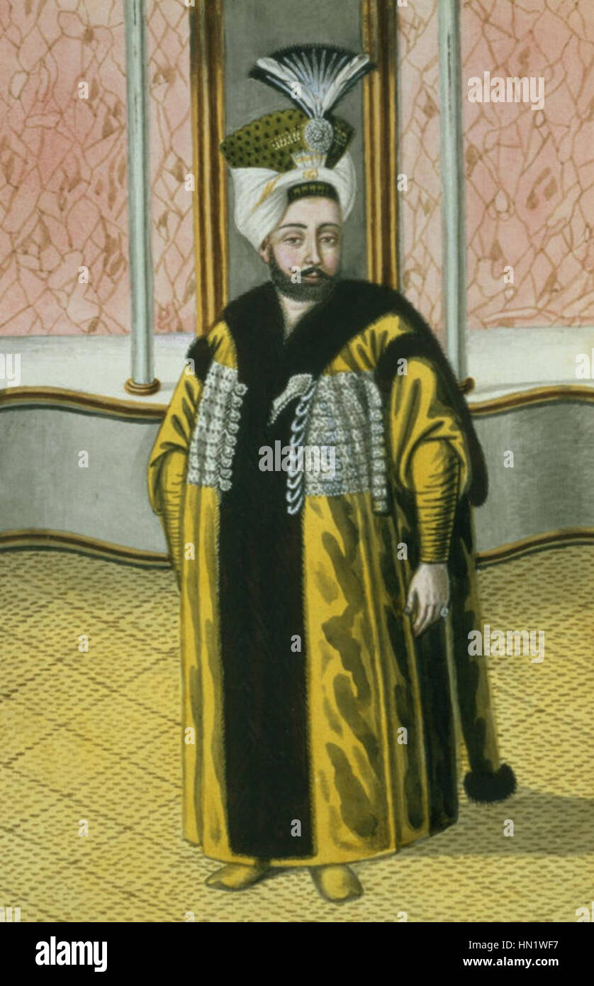 The portrait of Mustafa IV, painted by John Young, features the 19th ...
