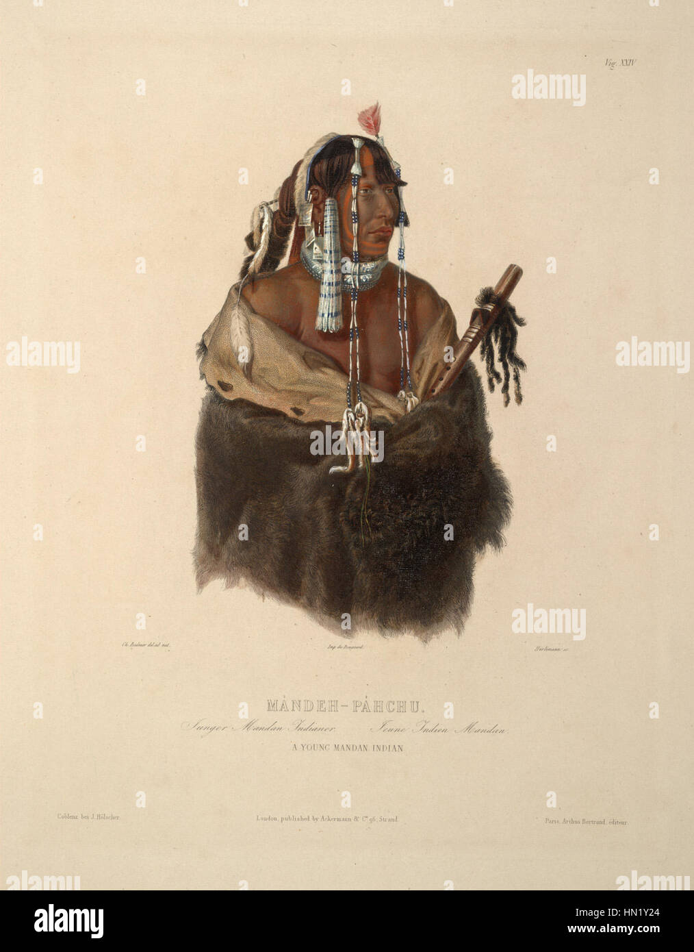 This portrait, titled 'A Young Mandan Indian', captures a young member ...