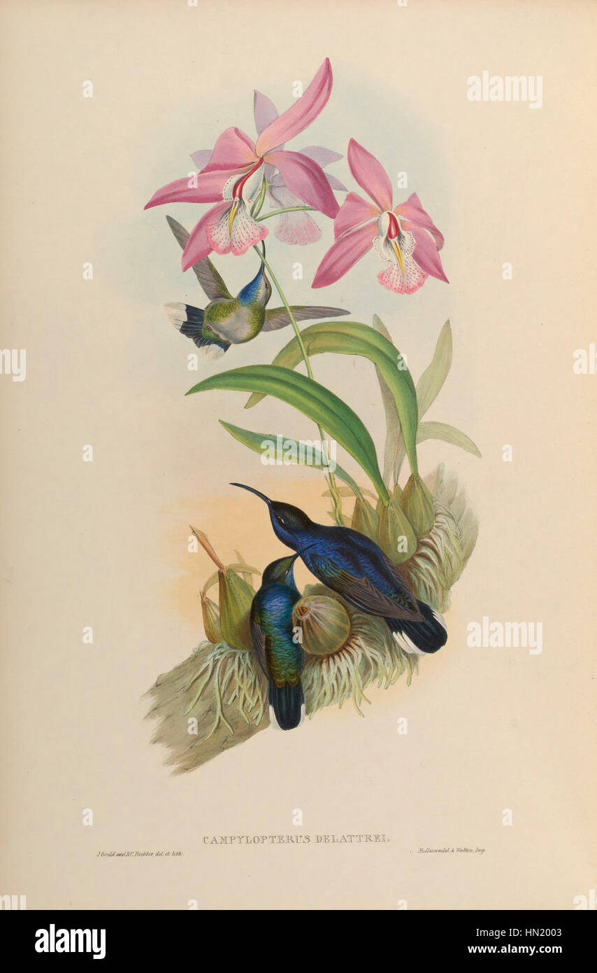 The monograph 'Trochi2Goul' explores the artistic journey of the ...