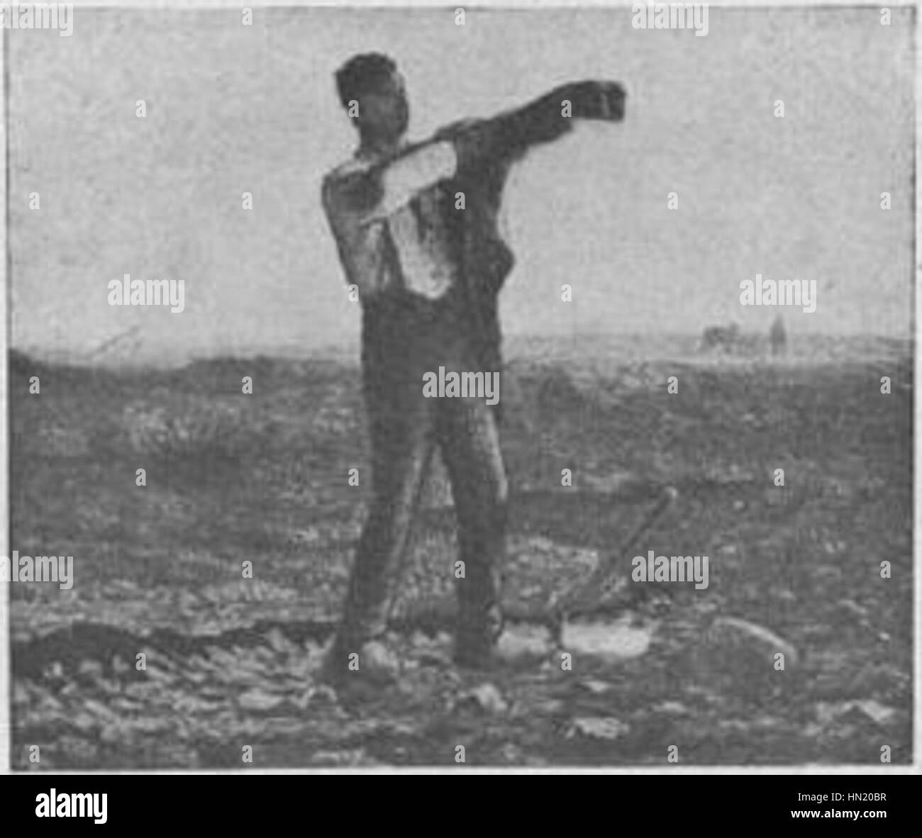 Millet Man in a field Stock Photo - Alamy