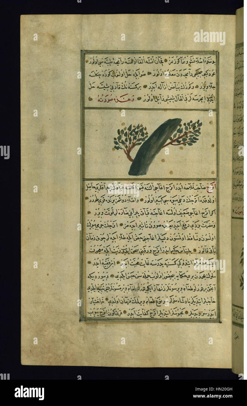 Muhammad ibn Muhammad Shakir Ruzmah-'i Nathani - An Ebony Tree ...