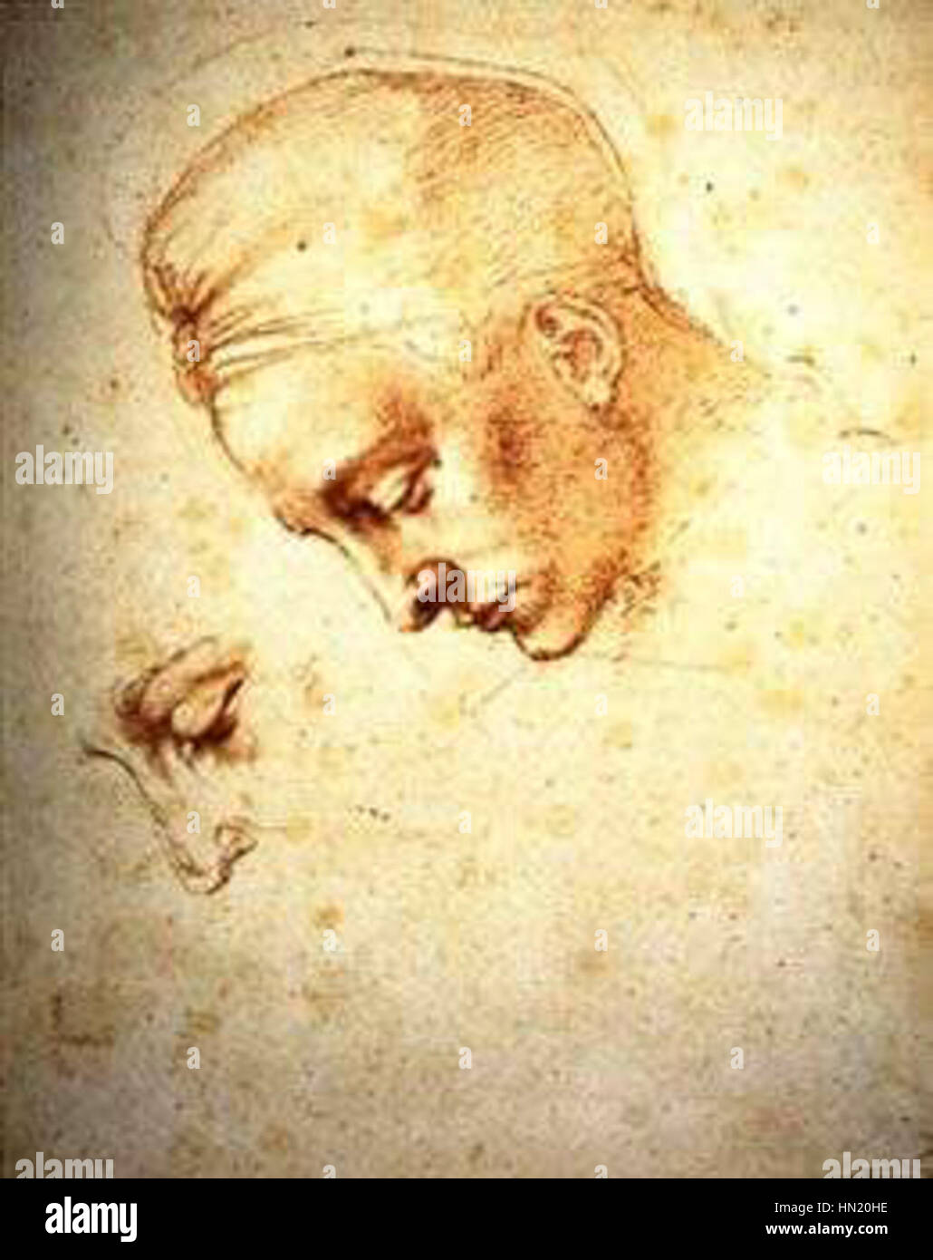 Michelangelo, studio per la leda, casa buonarroti Stock Photo - Alamy