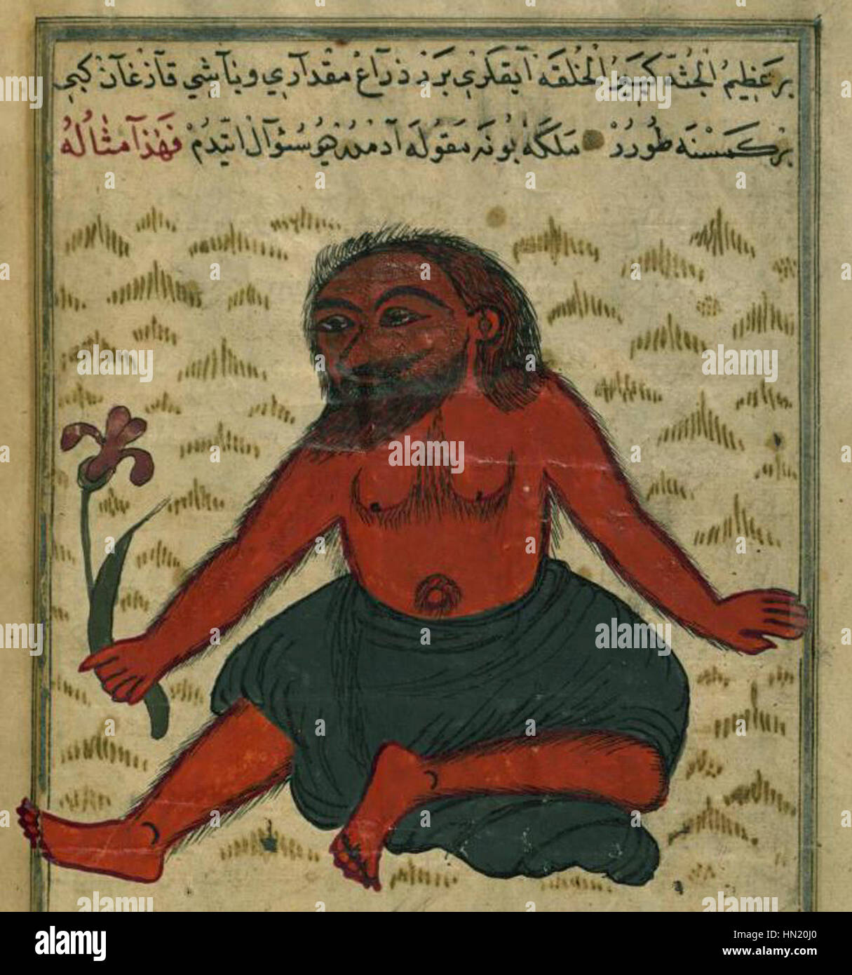 Old gog hi-res stock photography and images - Alamy