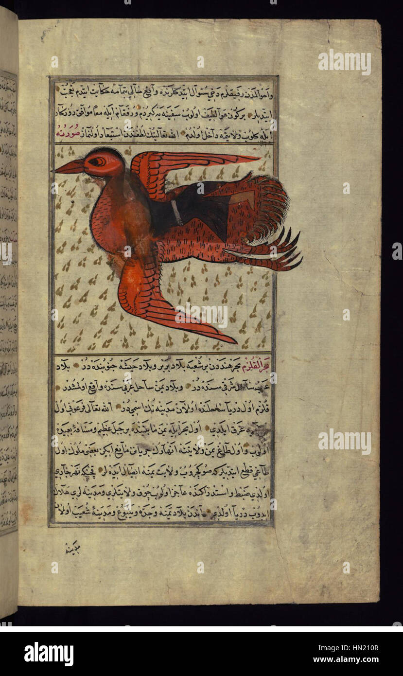 Huge bird carries hi-res stock photography and images - Alamy