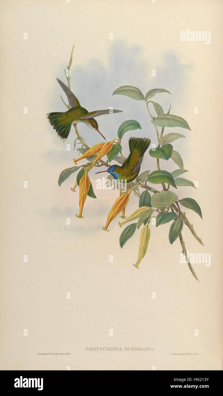 This monograph focuses on the works of Trochi and Goul, exploring their ...