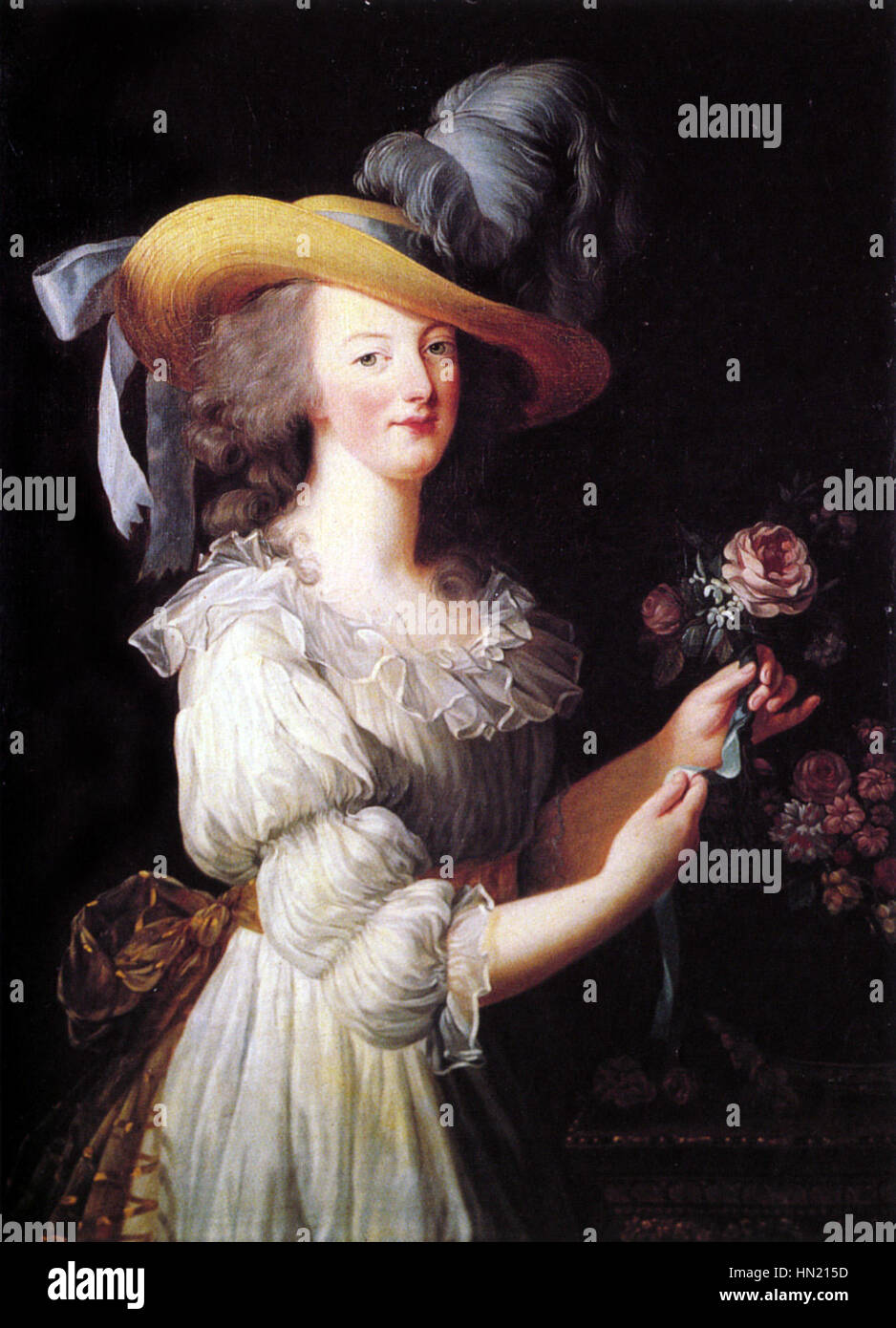 Marie Antoinette rose Stock Photo - Alamy