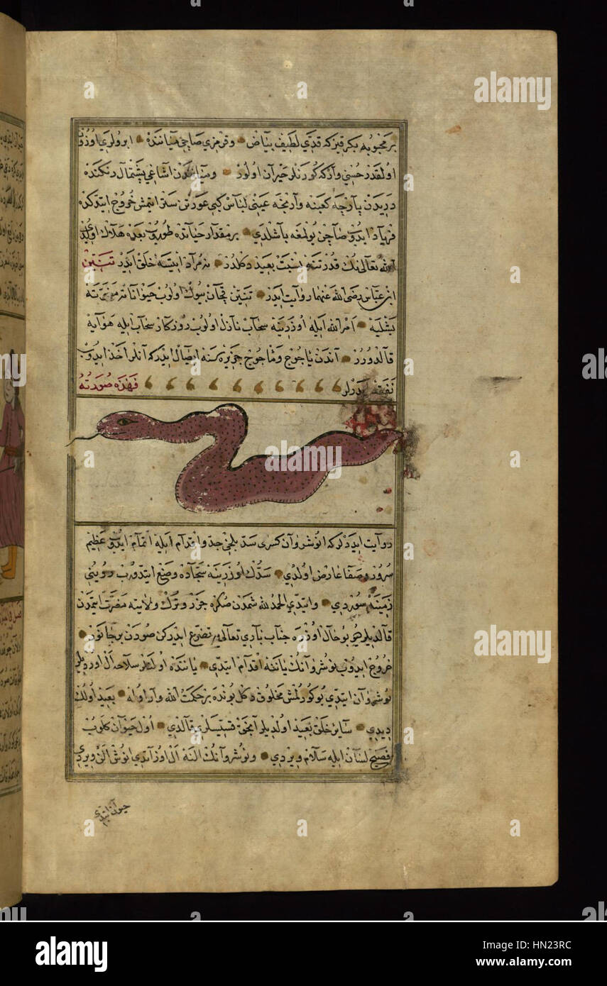 Muhammad ibn Muhammad Shakir Ruzmah-'i Nathani - A Dragon of the ...