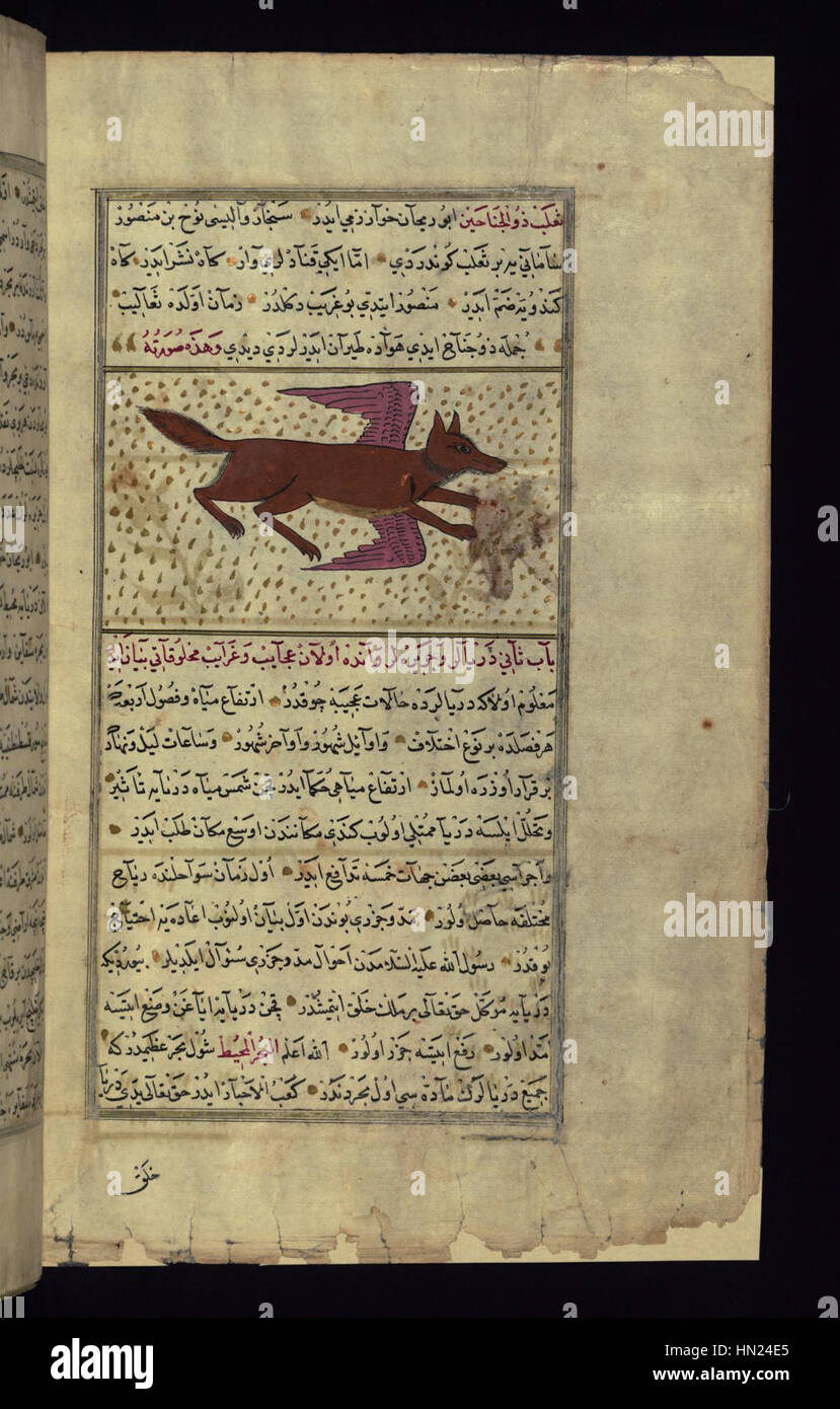 Two winged fox hi-res stock photography and images - Alamy