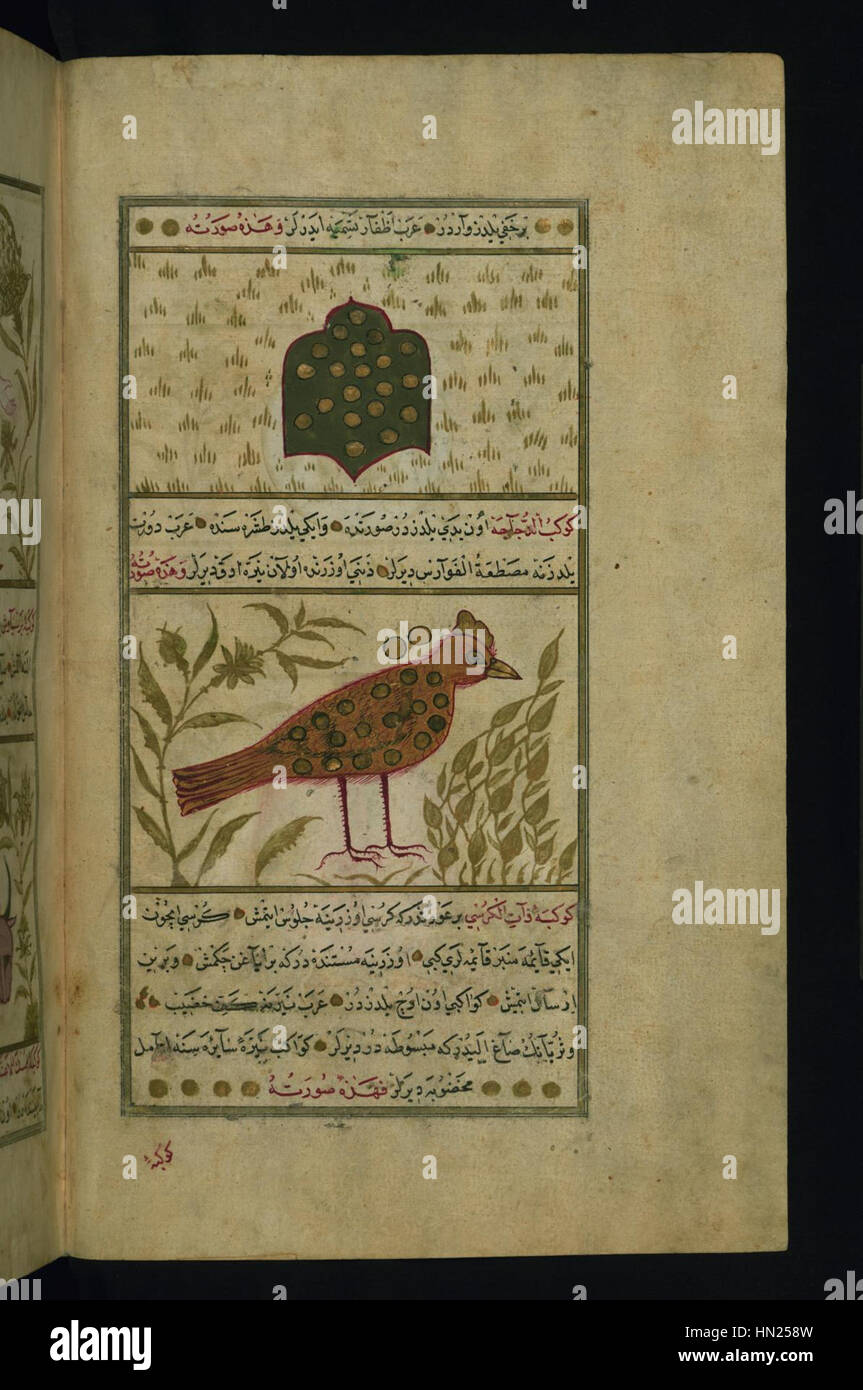 Muhammad ibn Muhammad Shakir Ruzmah-'i Nathani's 'Lyre and Cygnus' is a ...