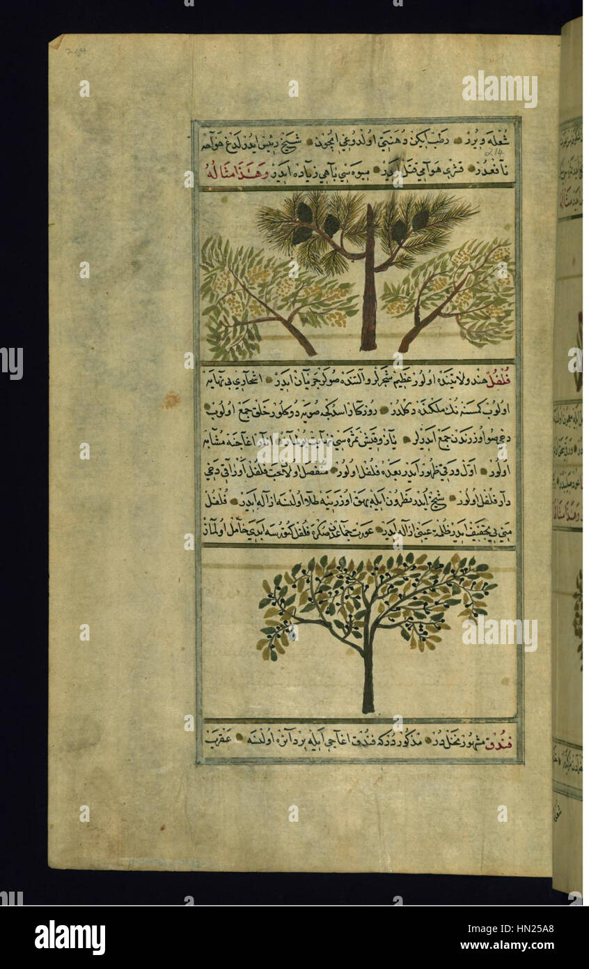 Muhammad ibn Muhammad Shakir Ruzmah-'i Nathani - Pistachio of Syria and ...
